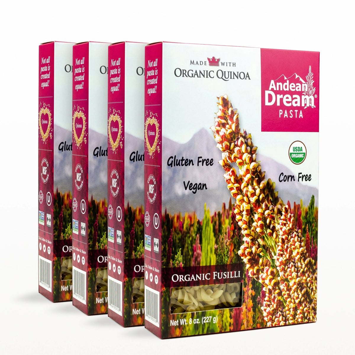 Gluten Free, Allergen-Friendly, Organic Quinoa Pasta | Andean Dream
